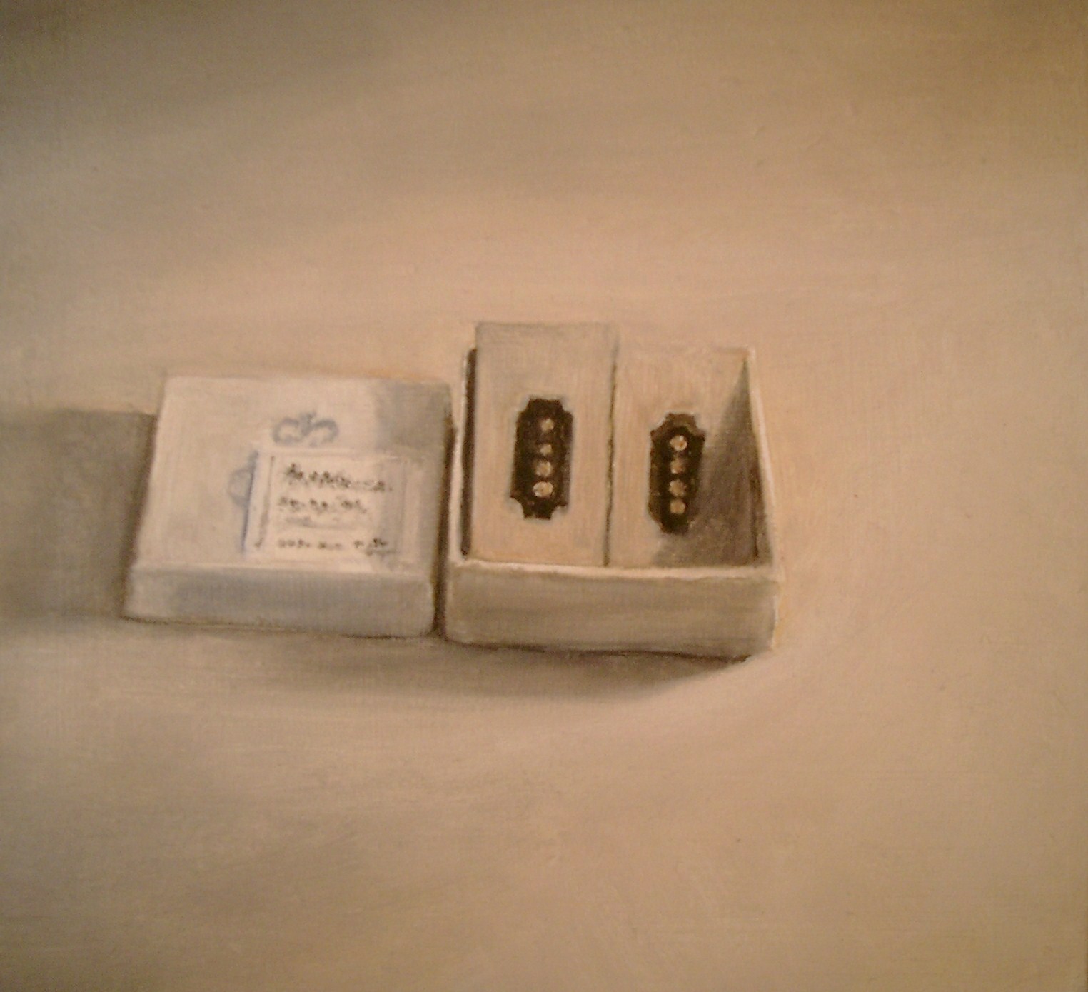 Shelf paintings NHM – Susan spencer hayter