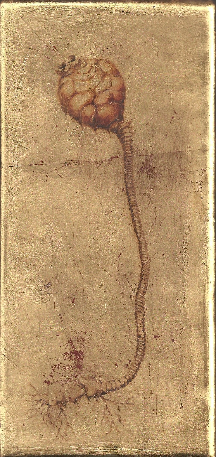 Panel paintings – Susan spencer hayter