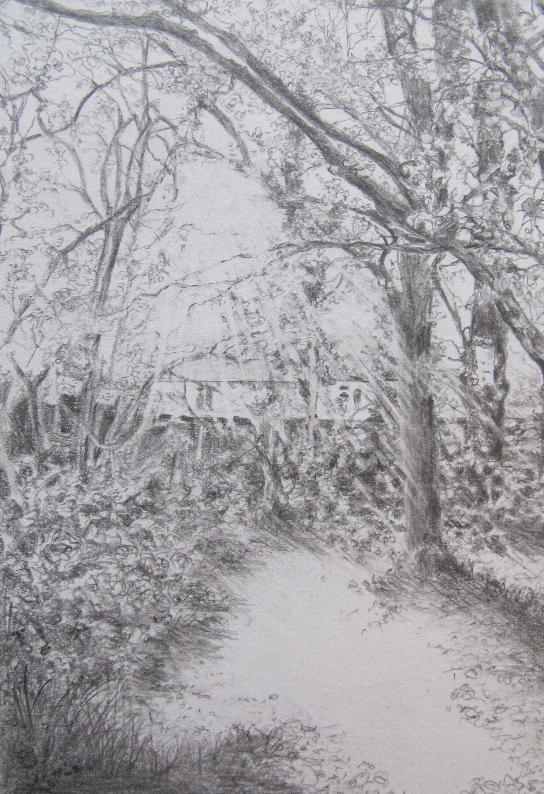 Susan spencer hayter – Environmental artist: paintings prints